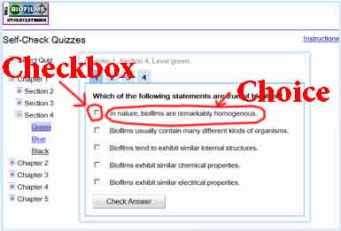 Biofilm Hypertextbook Self-Check Quizzes Instructions